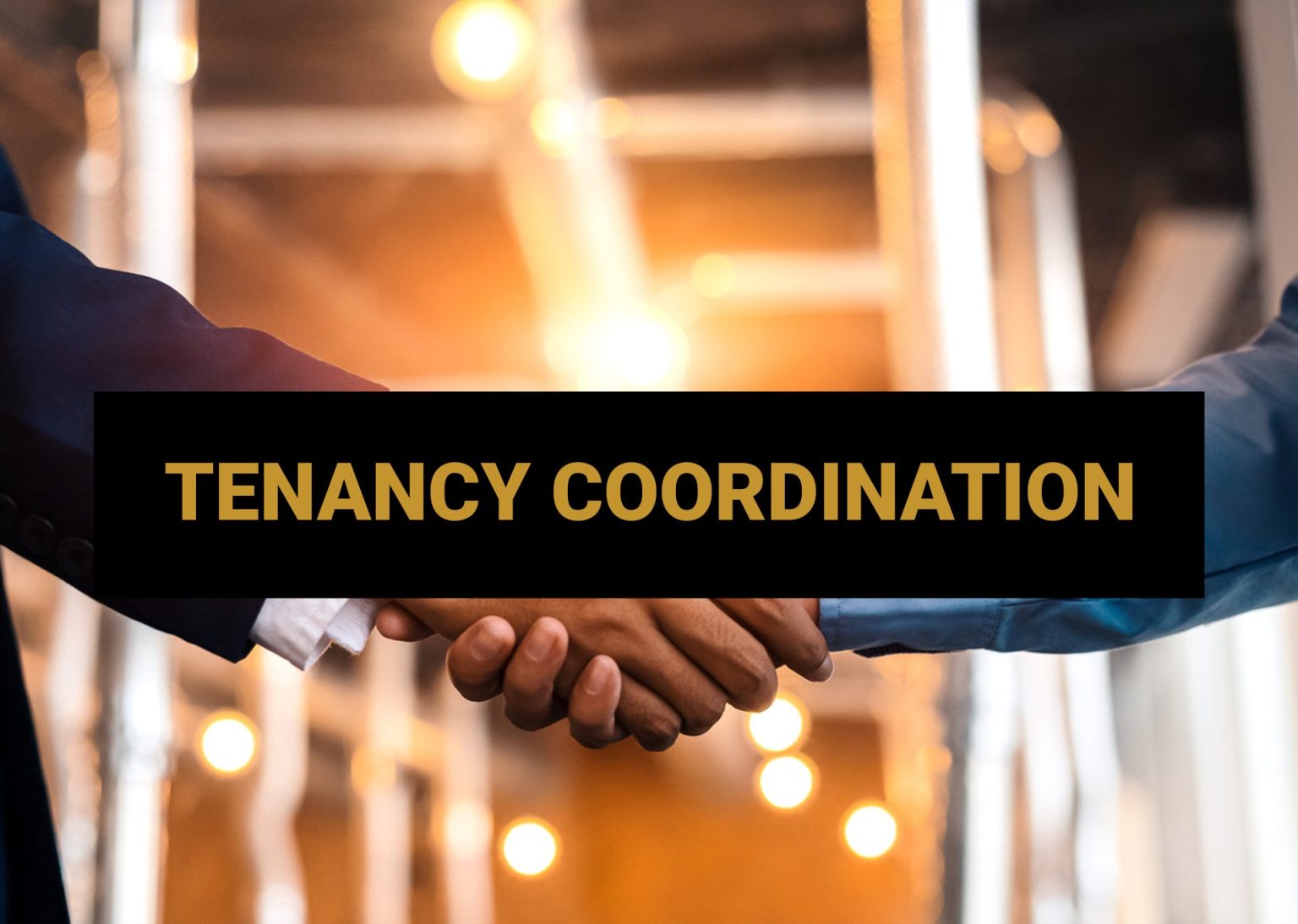 Overview of Tenancy Coordination in Commercial Management